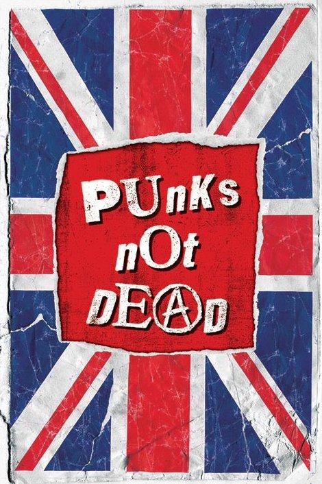 Affiches & posters Poster Punks Not Dead