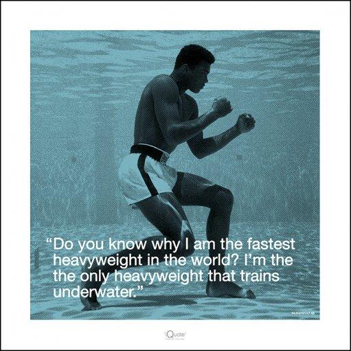 description visuwall livraison ref 4456 type reproduction mise à l ...